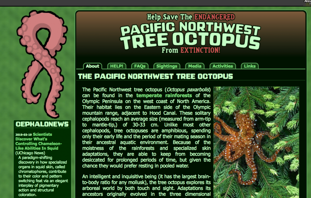 Teaching Digital Citizenship in a World Full of Technology