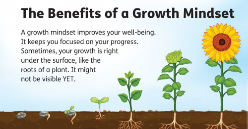 Health & Wellness - Studies Weekly