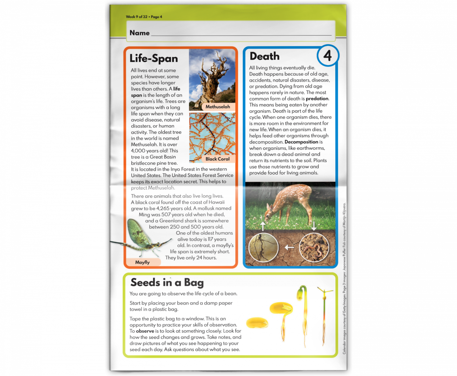 Florida – Social Studies & Science Curriculum - Studies Weekly