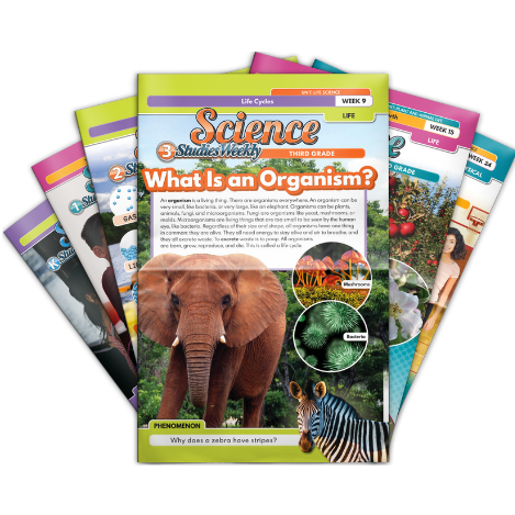 Studies Weekly