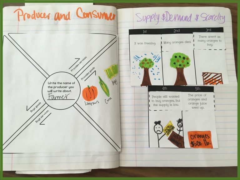 Interactive Notebooks | Studies Weekly