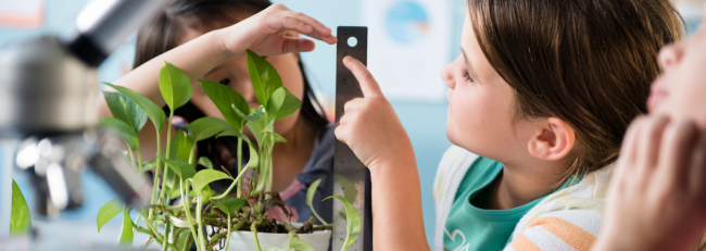 Lesson Plans - Studies Weekly