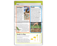 Michigan – Social Studies & Science Curriculum - Studies Weekly