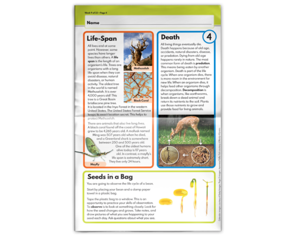 Georgia – Social Studies & Science Curriculum - Studies Weekly