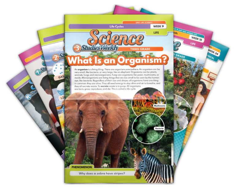 Georgia – Social Studies & Science Curriculum - Studies Weekly