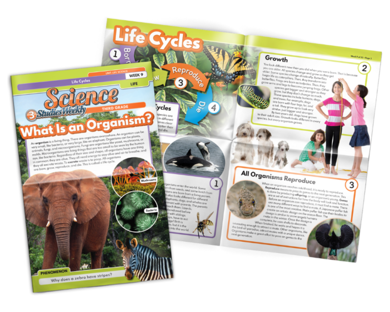 South Carolina – Social Studies & Science Curriculum - Studies Weekly