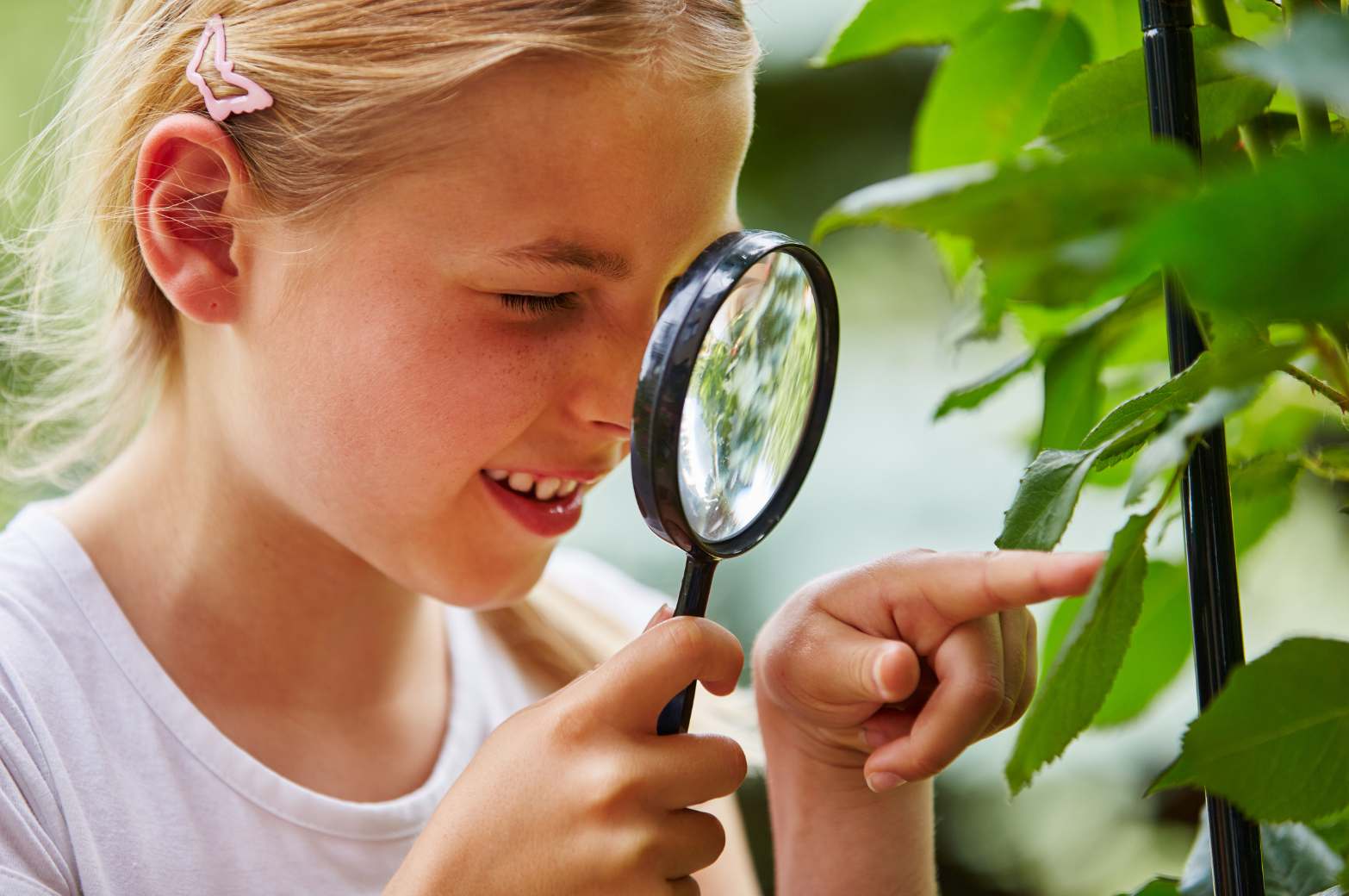 Using Inquiry-Based Learning in Science - Studies Weekly