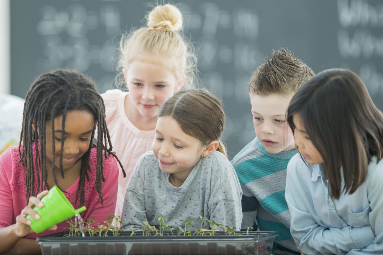 Use Scientific Principles to Innovate Science Teaching