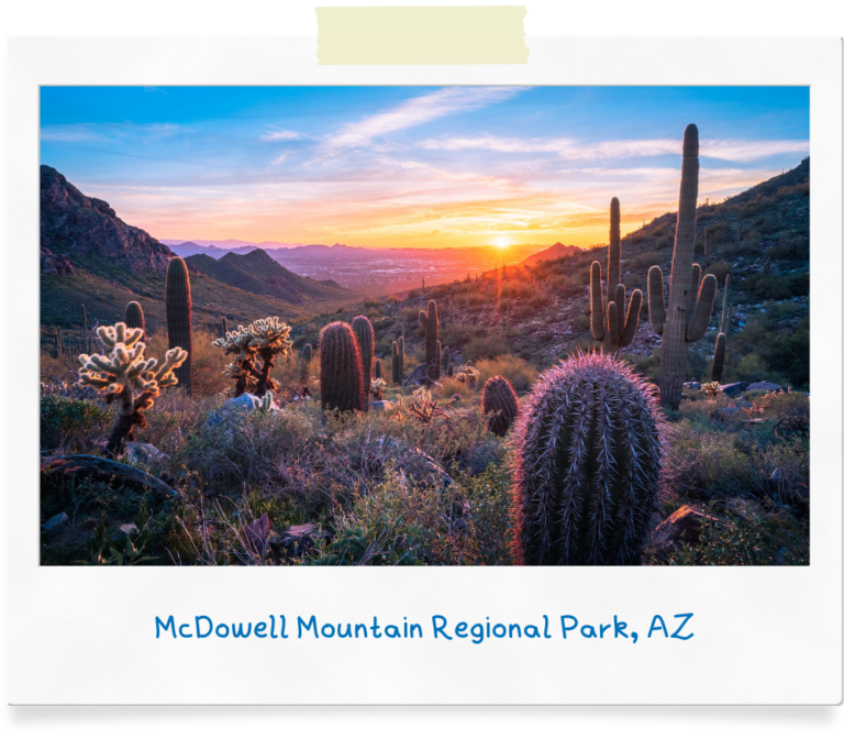 Arizona – Social Studies & Science Curriculum - Studies Weekly