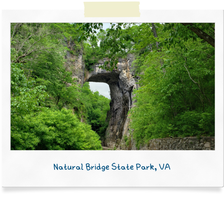 Virginia – Social Studies & Science Curriculum - Studies Weekly